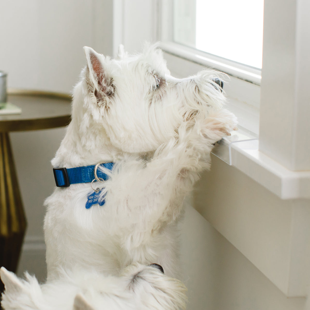 Window Sill Protectors - Tough Guaranteed for All Window Sizes · Clawguard